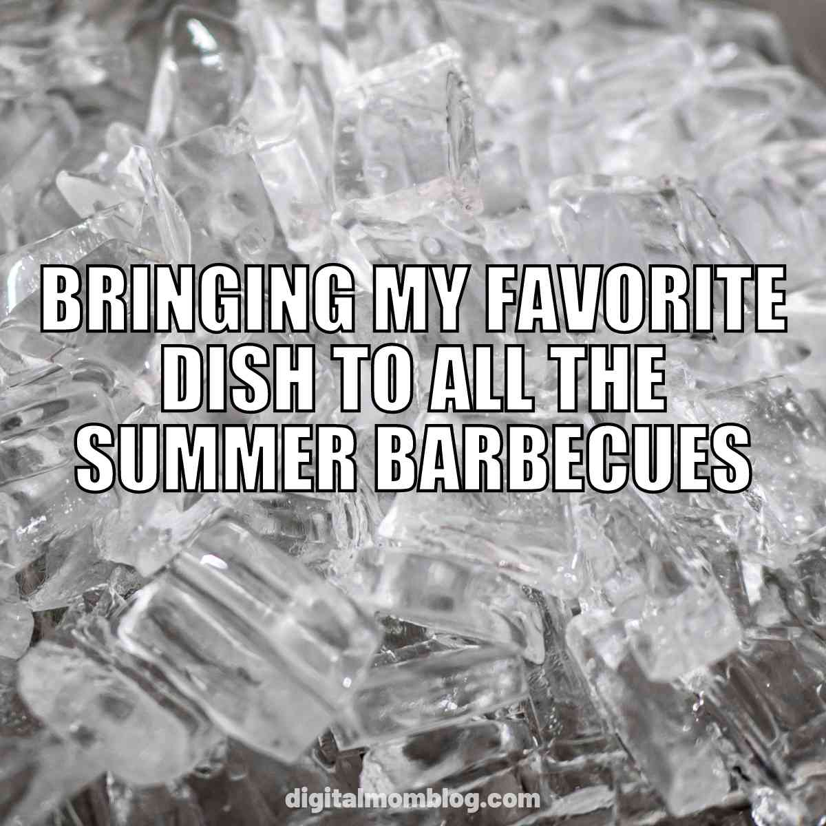 The Best Summer Memes And Images For The Hot 2024 Season