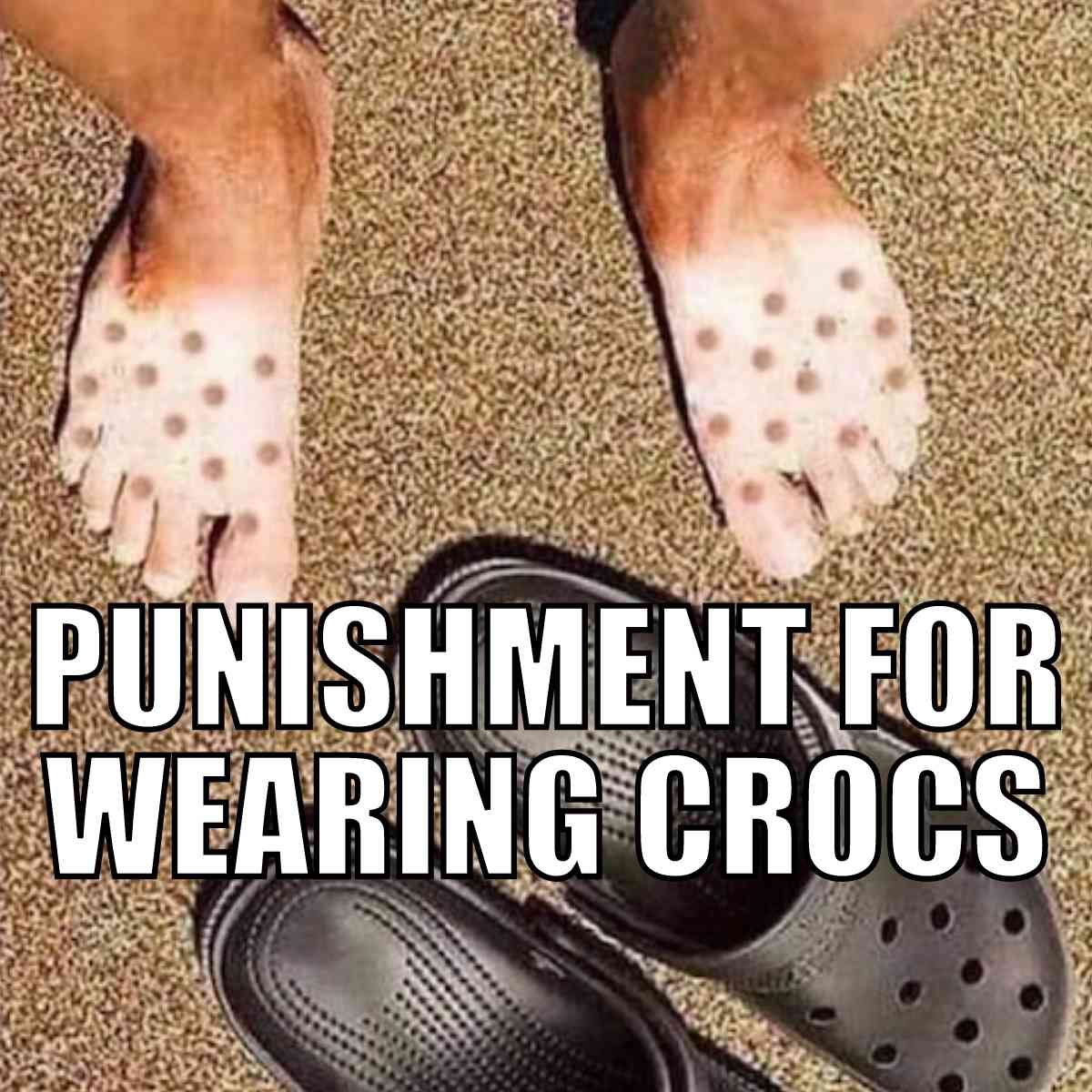 The Best Summer Memes And Images For The Hot 2024 Season