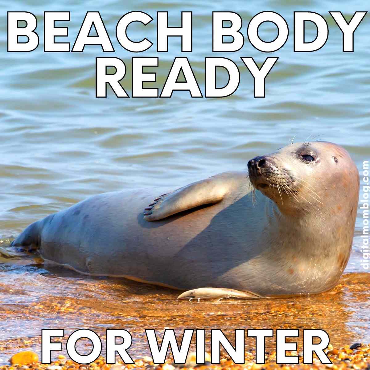 Summer Body Memes - 20+ Funny Images About Hot Bod Goals