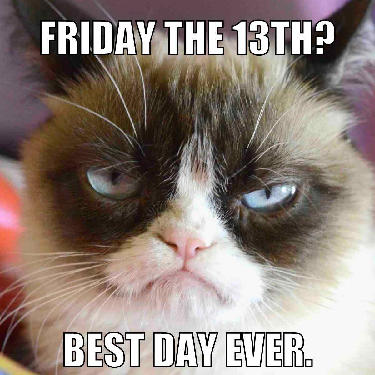 Friday The 13th Memes: 51 Funny Images About Being Unlucky