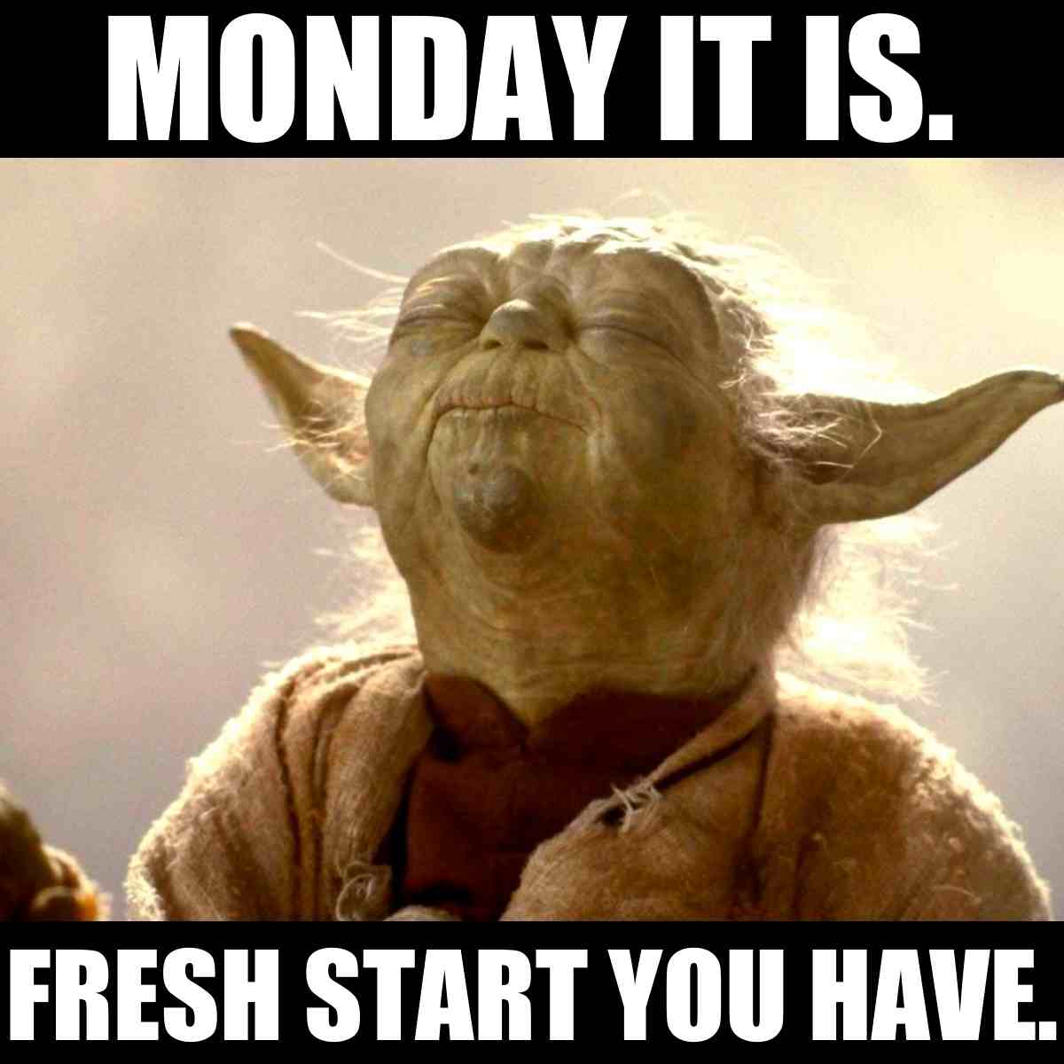 75 Hilarious Monday Memes To Make The Start Of Your Week Less Painful