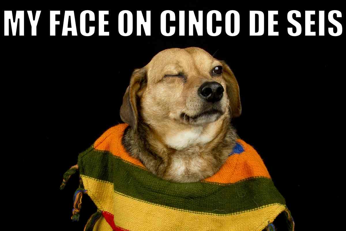 Cinco De Mayo Memes And Funny GIFs To Celebrate May 5