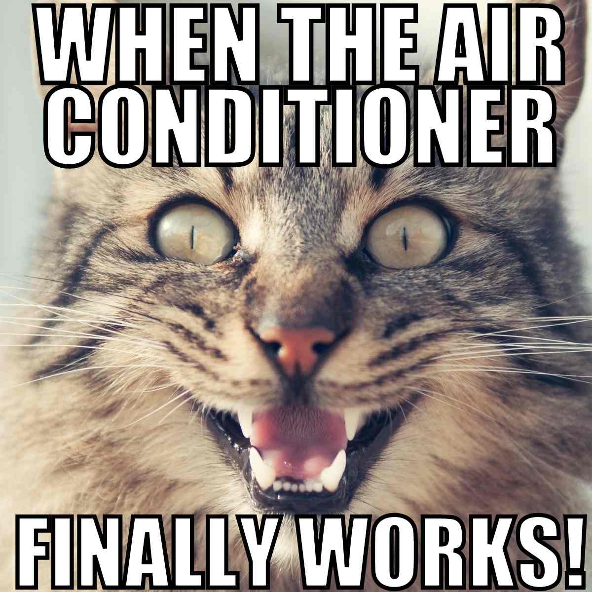 35 Sizzling Hot Weather Memes For Beating The Summer Heat