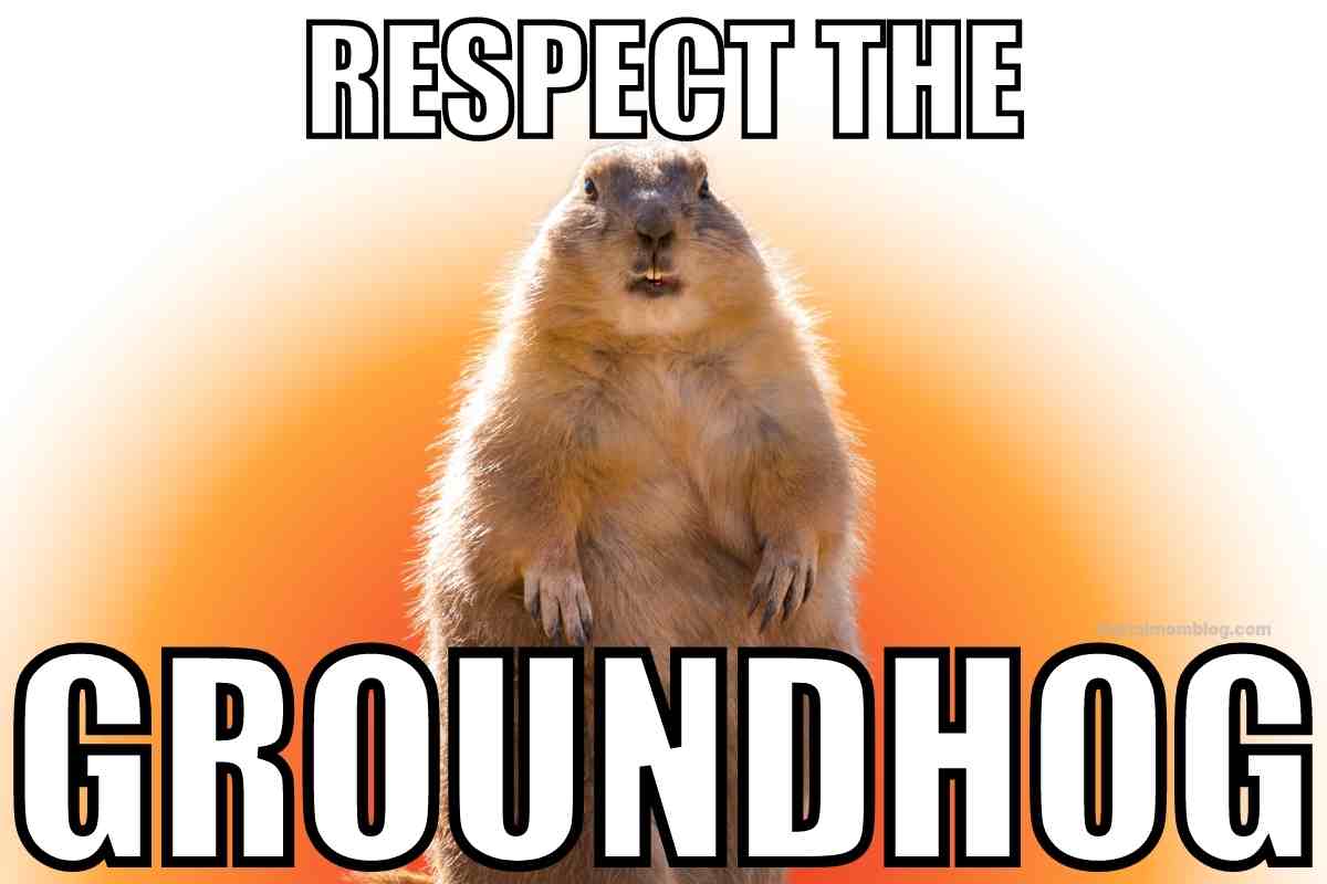 From Shadow To Sunshine: Hilarious Groundhog Day 2024 Memes
