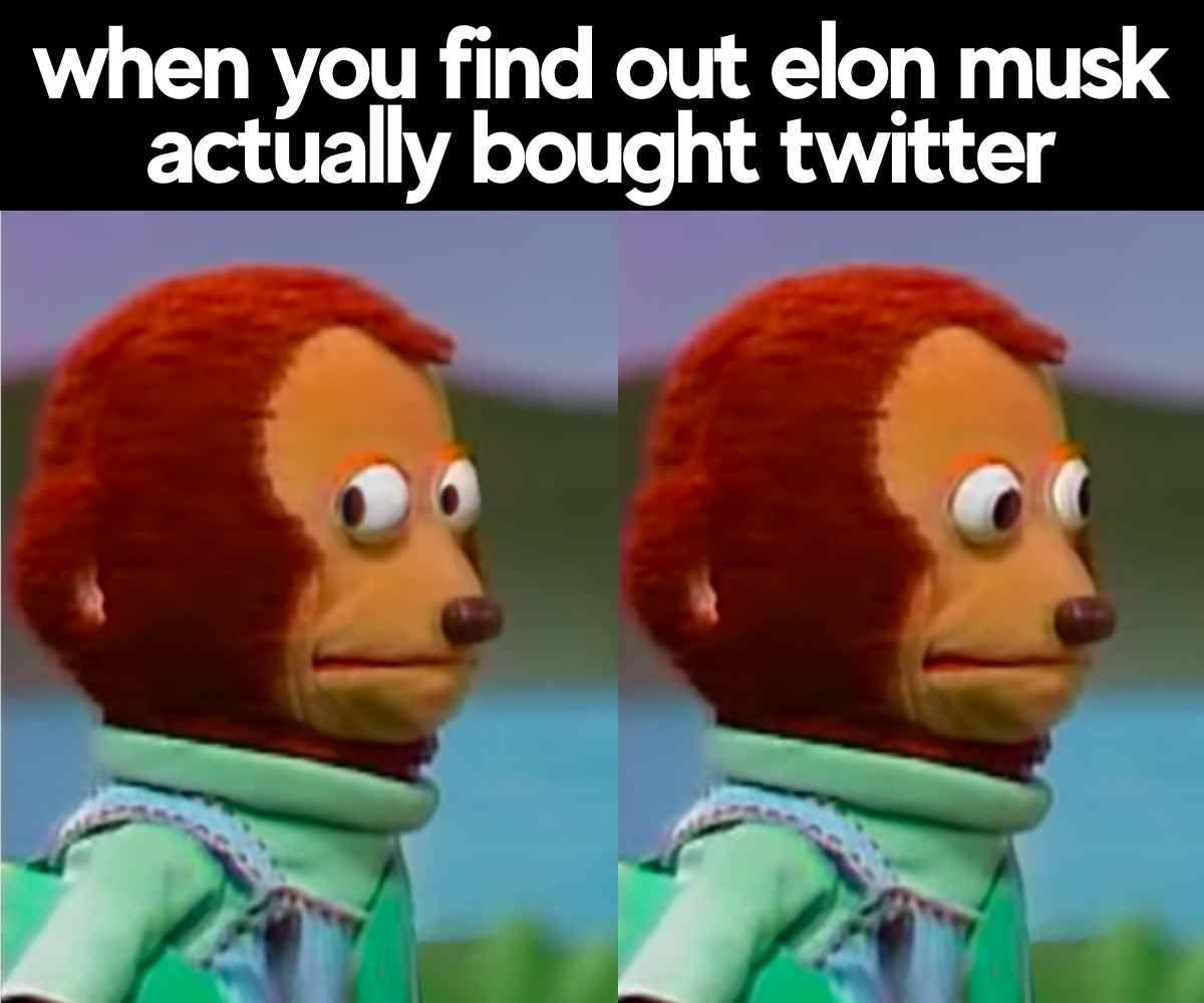 20 Hilarious Monkey Memes To Instantly Brighten Your Day