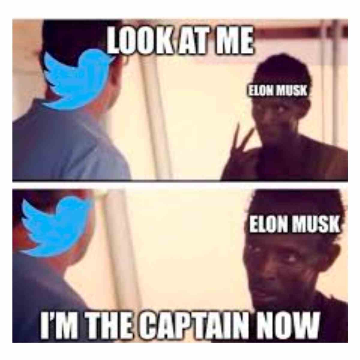 Epic Elon Musk Memes: Prepare For Memetic Madness