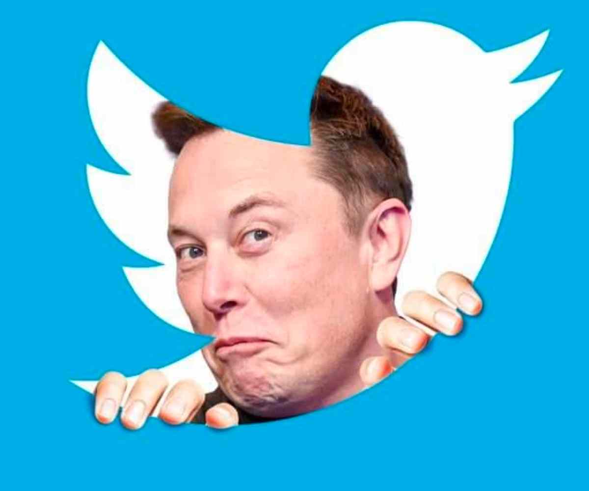 Epic Elon Musk Memes: Prepare For Memetic Madness