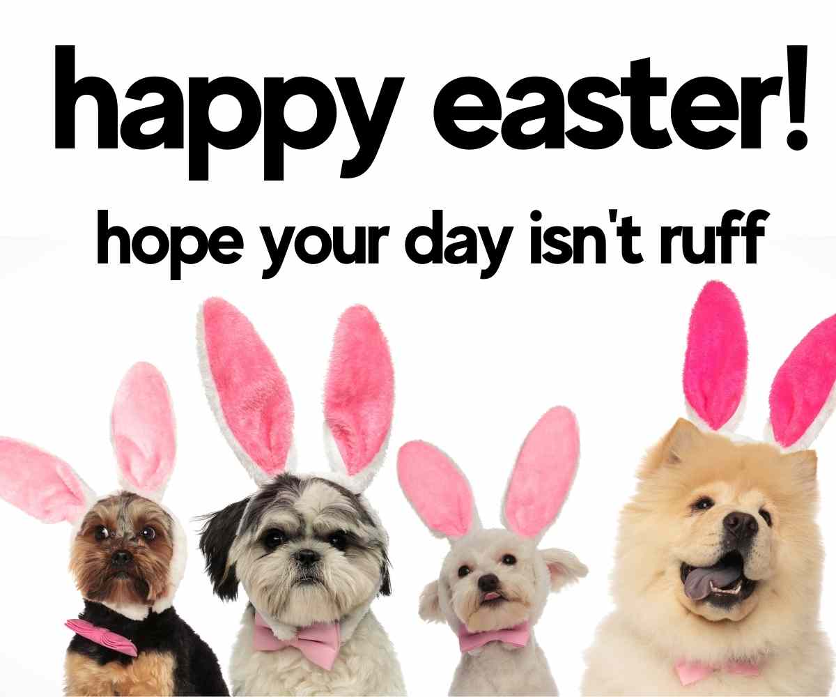 50 Funny Easter Memes For A Hoppin Good Time