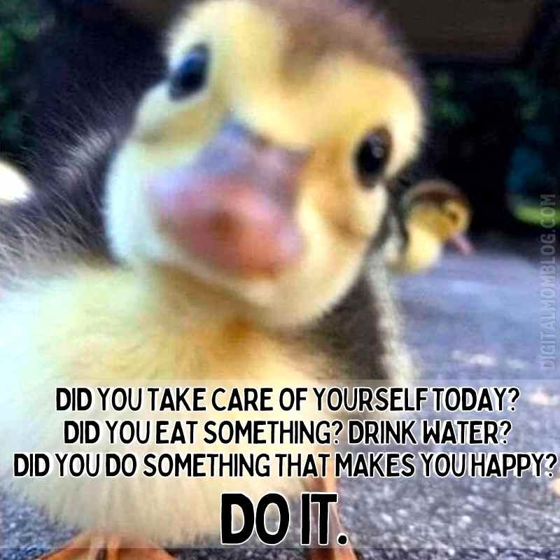 Happy Memes - 25+ Memes That Induce A Smile