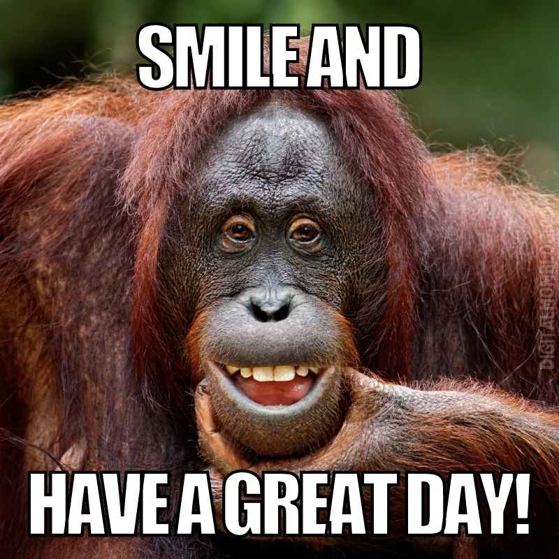 Happy Memes - 25+ Memes That Induce A Smile