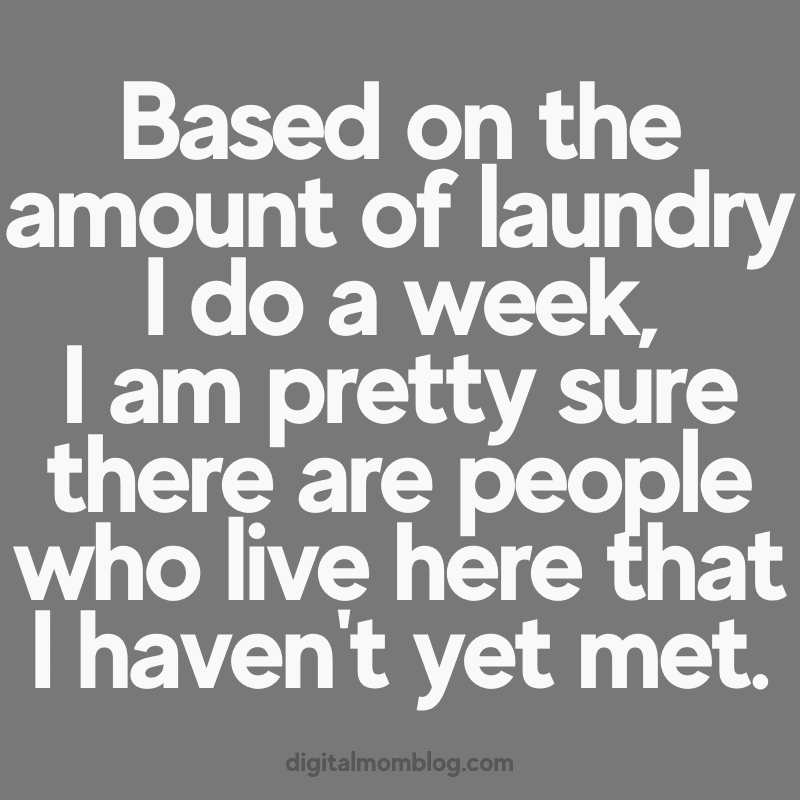 40 Funny Laundry Memes: From Sorting To Suds