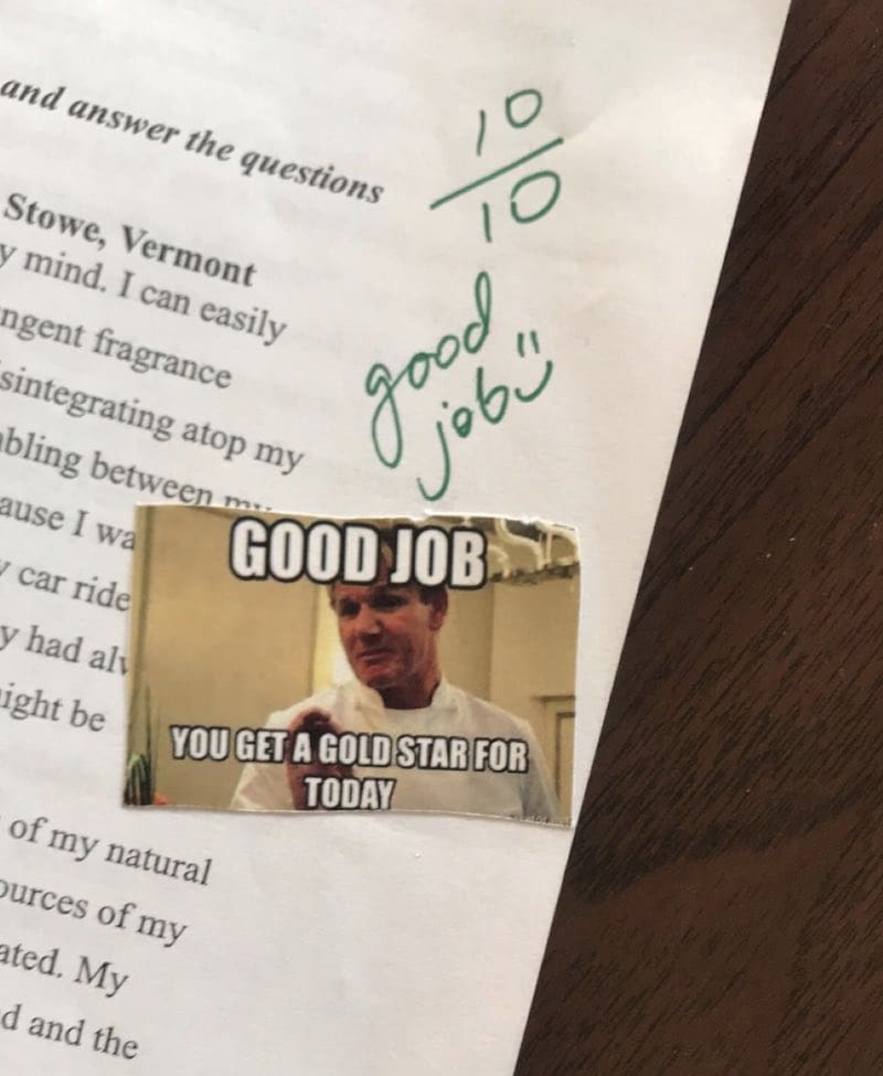 10 Grading Memes That Perfectly Sum Up Teacher Life