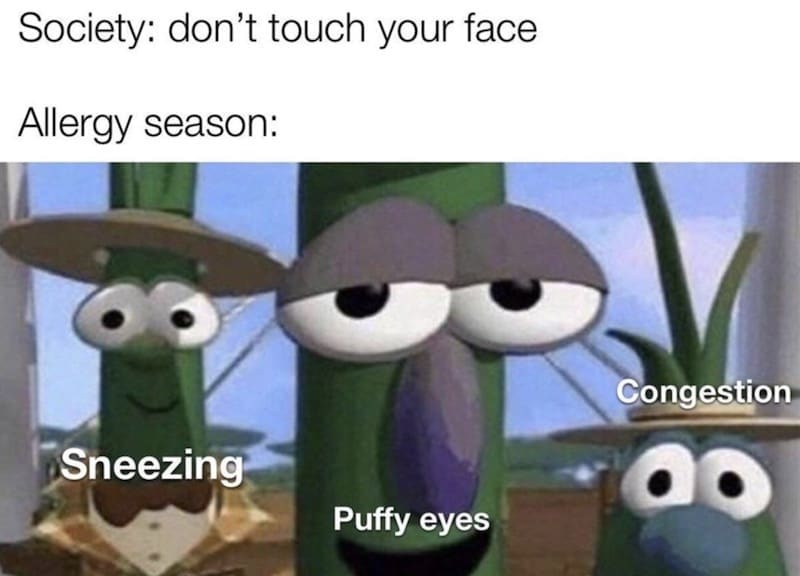 35 Funny Allergy Memes About Pollen And Seasonal Allergies