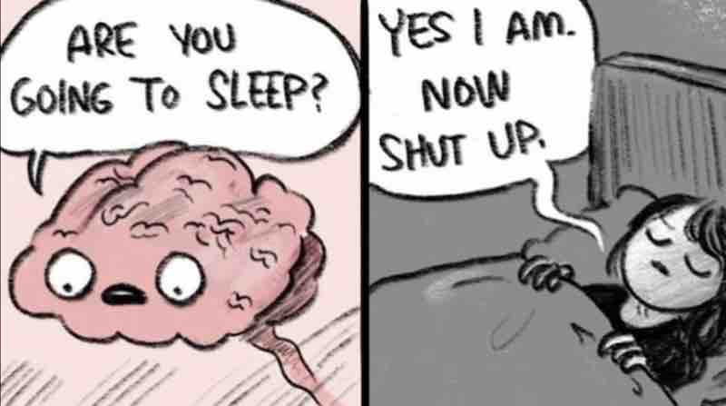 20 Funny Big Brain Memes And GIFs For Genius Smarty Pants