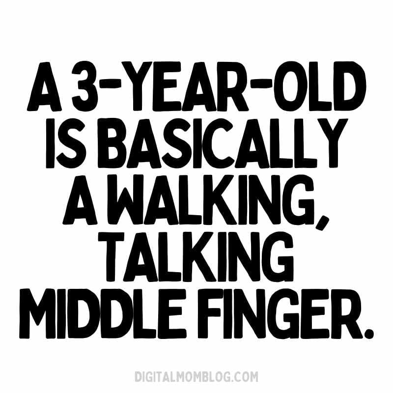 51 Hilarious Toddler Memes Every Tot Parent Can Relate To