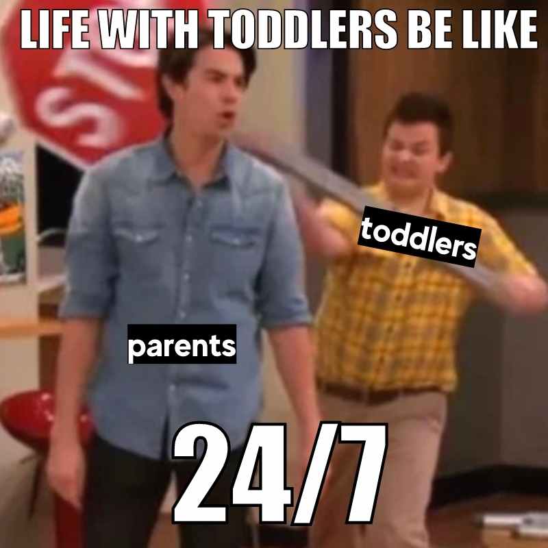 51 Hilarious Toddler Memes Every Tot Parent Can Relate To