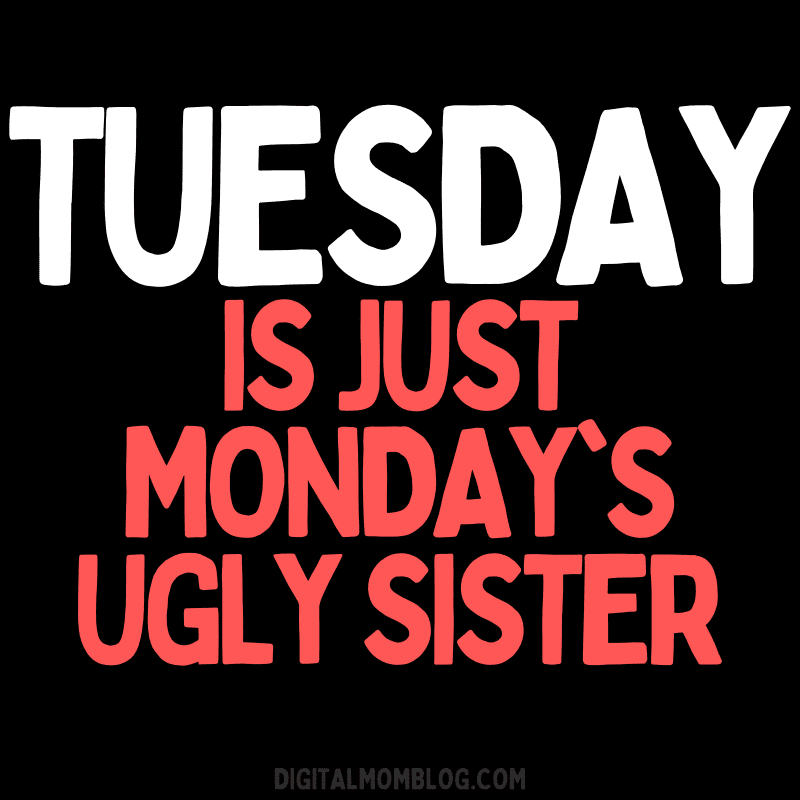 25 Best Tuesday Memes And Images To Brighten Your Week