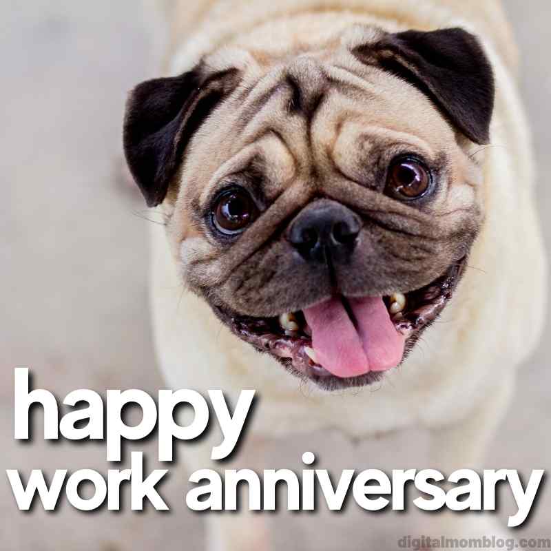 65 Funny Work Anniversary Memes: Celebrate In Style!