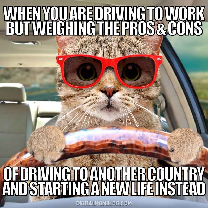 100+ Hilarious Work Memes To Share With Co-Workers