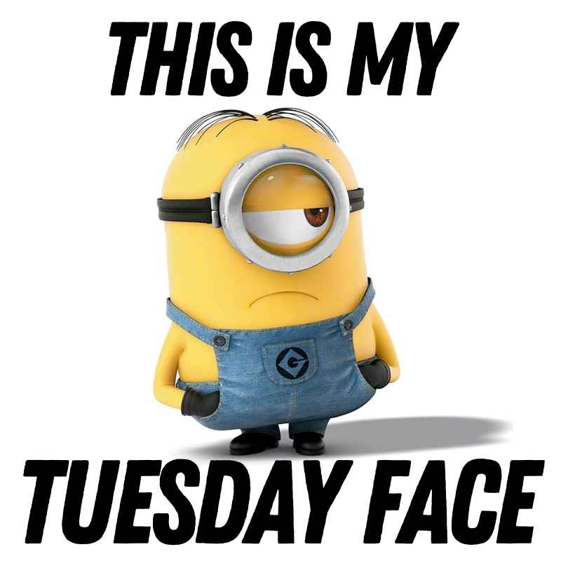 30 Hilarious Minion Memes To Brighten Your Day