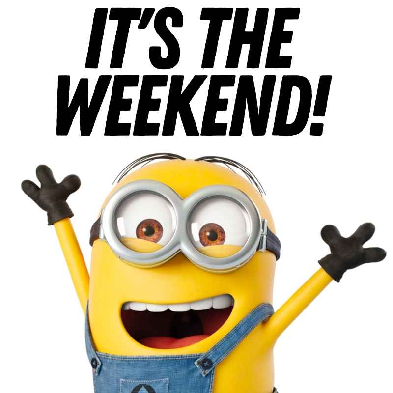 30 Hilarious Minion Memes To Brighten Your Day