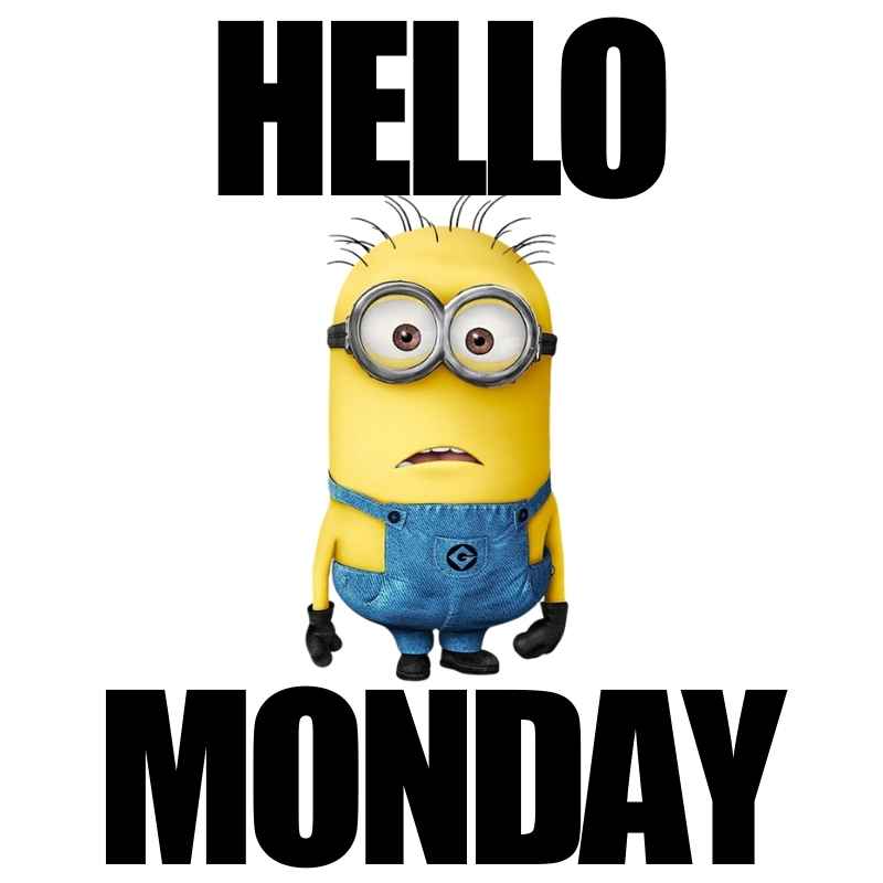 30 Hilarious Minion Memes To Brighten Your Day