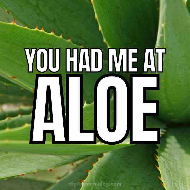 40 Hilarious Plant Memes That Every Gardener Can Relate To