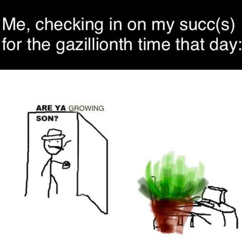 40 Hilarious Plant Memes That Every Gardener Can Relate To