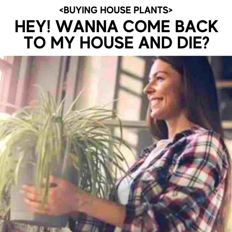 40 Hilarious Plant Memes That Every Gardener Can Relate To