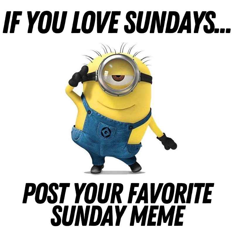 40 Funny Sunday Memes To Beat The End Of The Weekend Blues