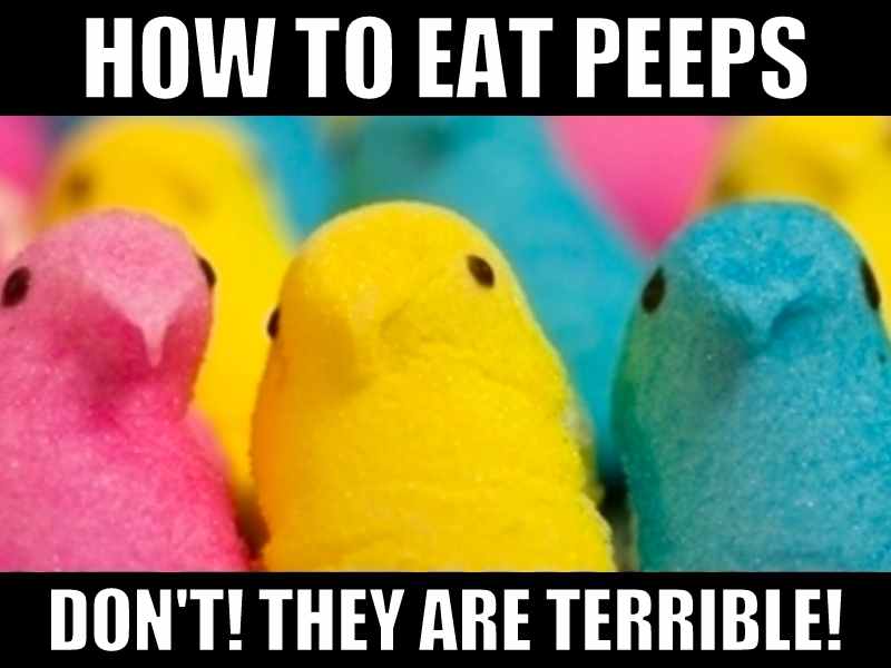 50 Funny Easter Memes For A Hoppin Good Time