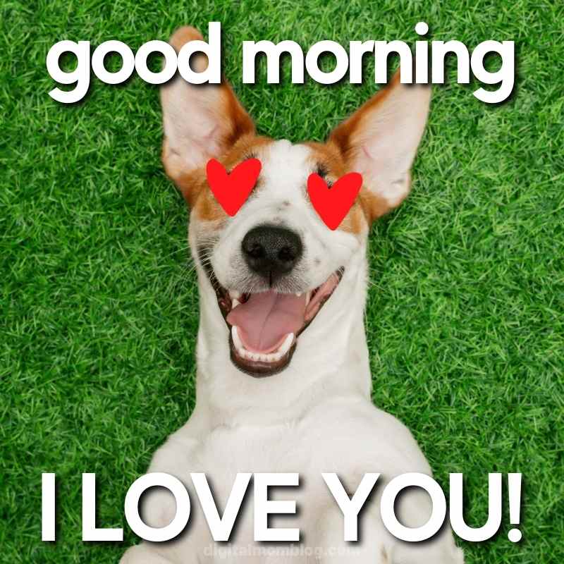 90 Best Funny Good Morning Memes To Kick Off The Day