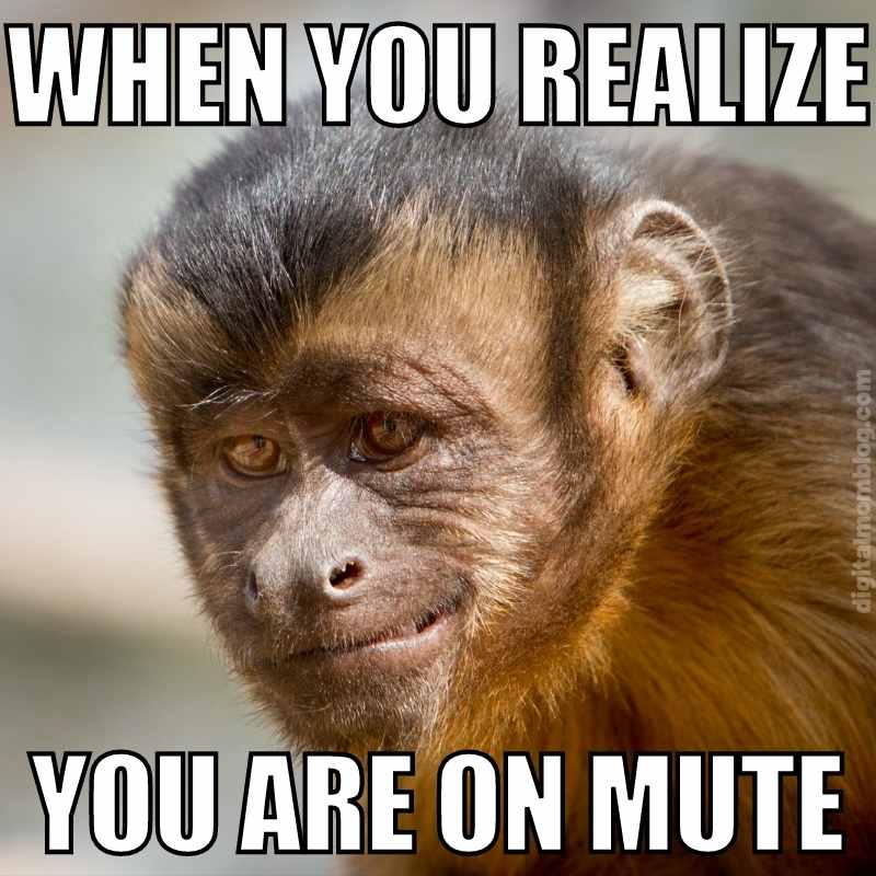 55 Hilarious Zoom Memes About Dreaded Video Meetings