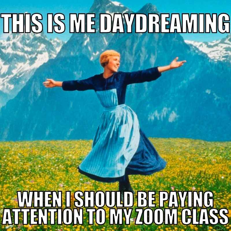 55 Hilarious Zoom Memes About Dreaded Video Meetings