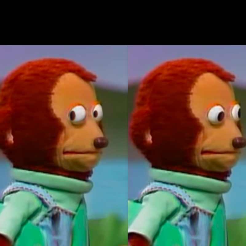 20 Hilarious Monkey Memes To Instantly Brighten Your Day