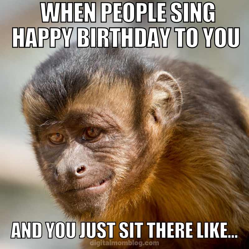 20 Hilarious Monkey Memes To Instantly Brighten Your Day