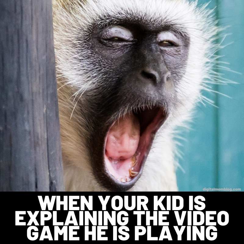20 Hilarious Monkey Memes To Instantly Brighten Your Day