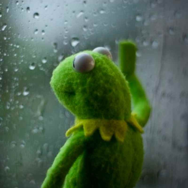 35 Funny Rain Memes To Shower You With Chuckles