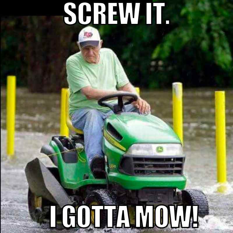 35 Funny Rain Memes To Shower You With Chuckles