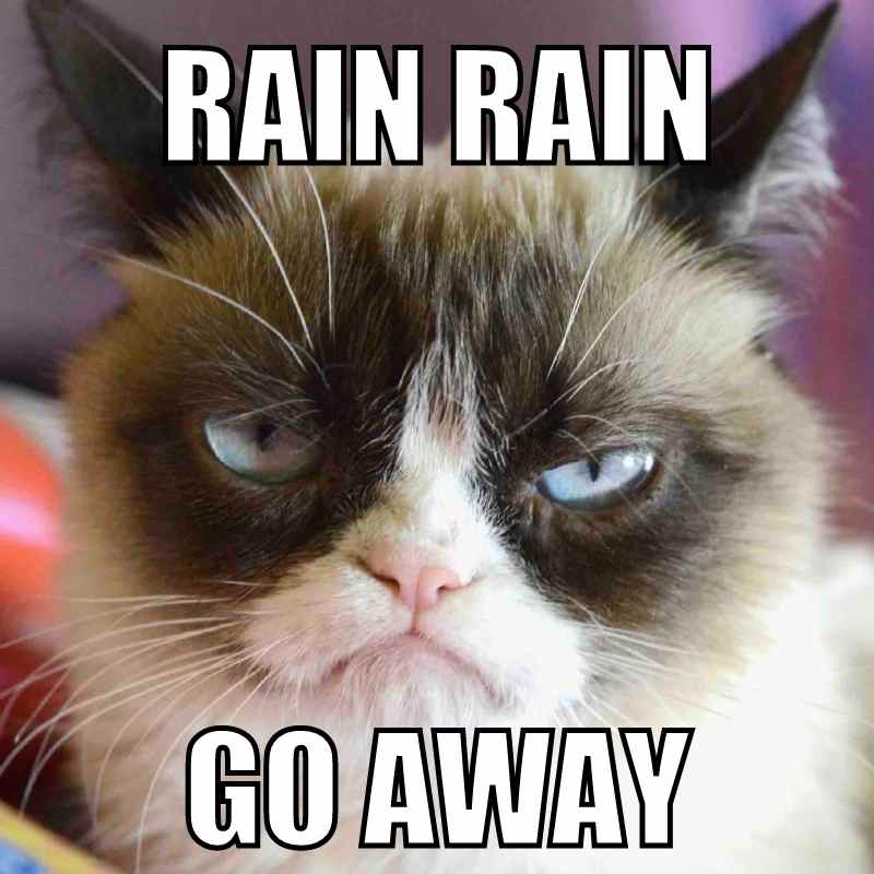 Stop Raining! 15 Hilarious Memes That Beg The Rain To Stop