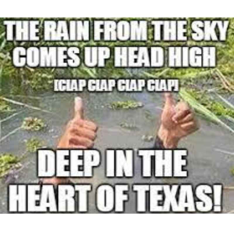 35 Funny Rain Memes To Shower You With Chuckles