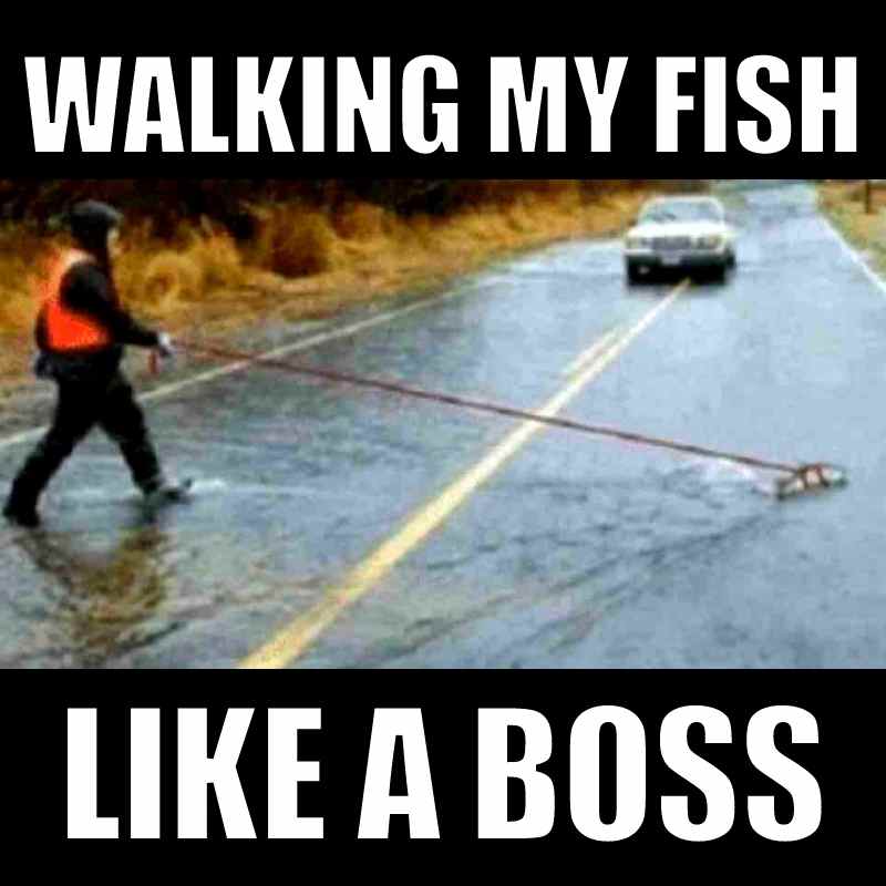 35 Funny Rain Memes To Shower You With Chuckles