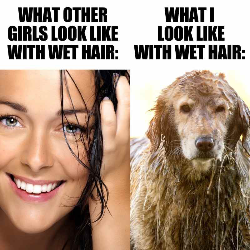 35 Funny Rain Memes To Shower You With Chuckles