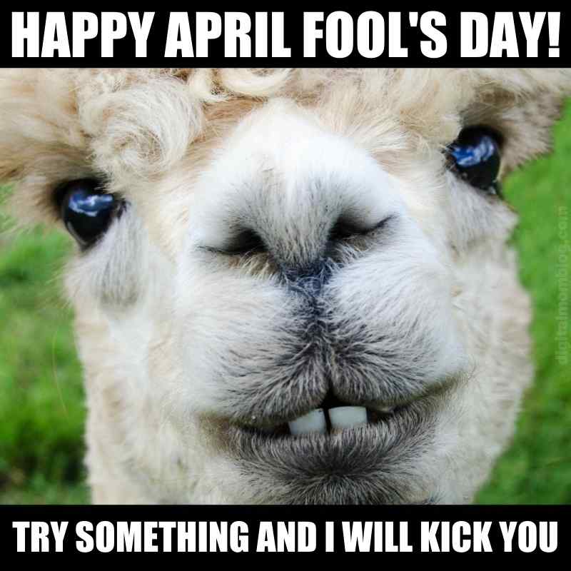 25 Best April Fools Memes And Jokes To Crack You Up