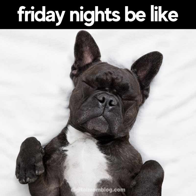 75 Funny Friday Memes That Will Have You Saying TGIF!