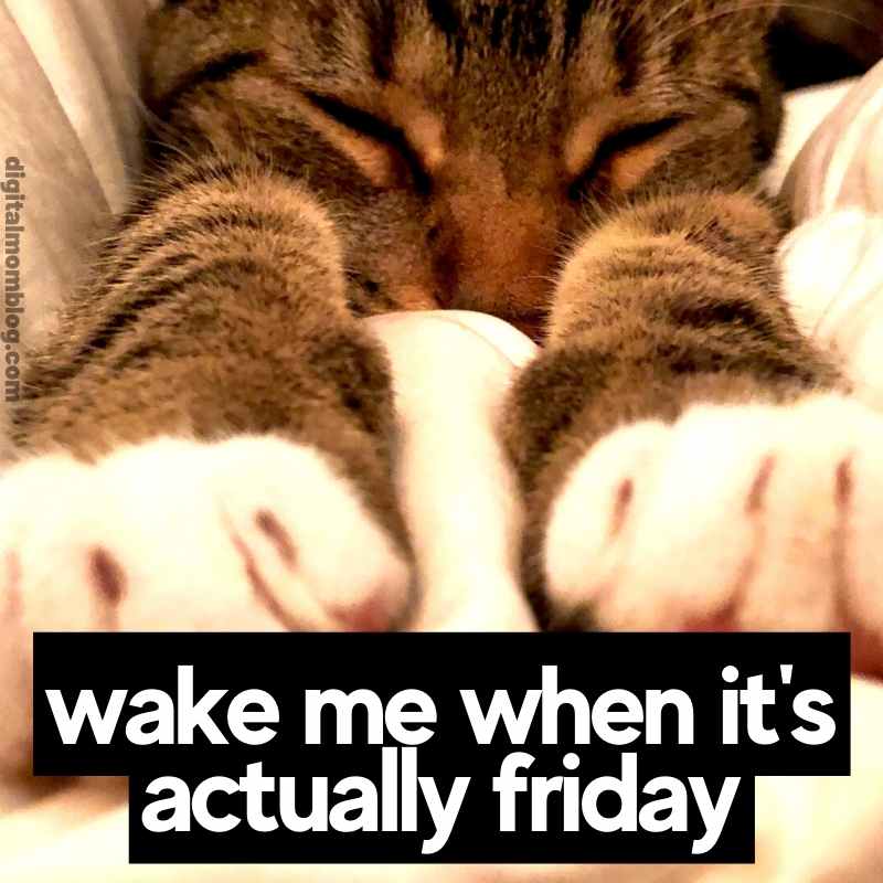 15 Hilarious Friday Eve Memes To Kickstart The Weekend Early