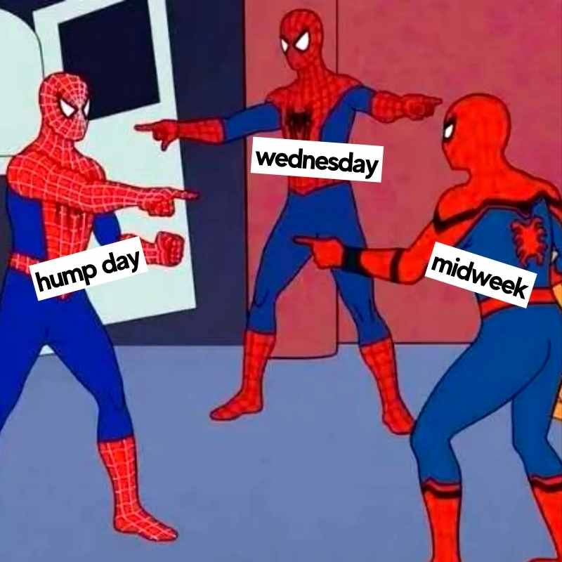 50 Fun Wednesday Memes To Get You Through The Mid-Week Slump