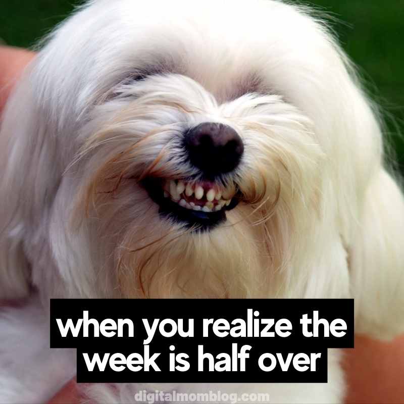 50 Fun Wednesday Memes To Get You Through The Mid-Week Slump