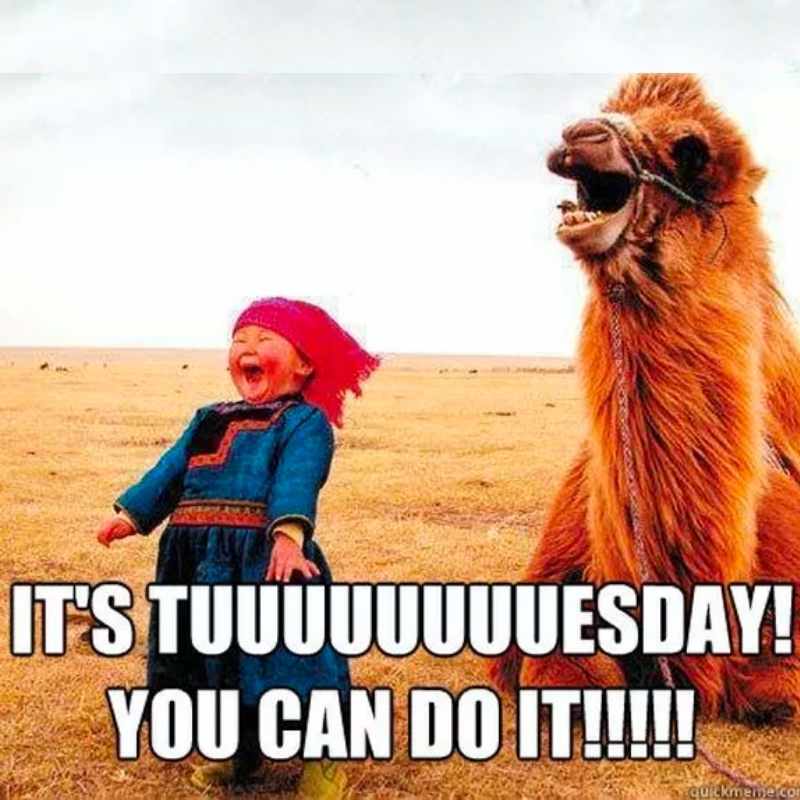 25 Best Tuesday Memes And Images To Brighten Your Week