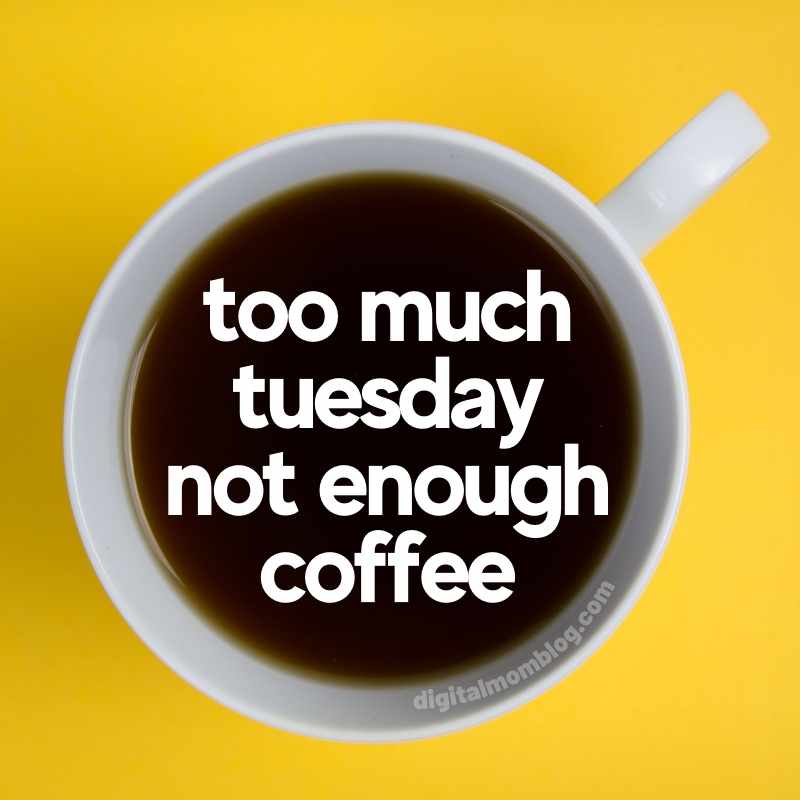 25 Best Tuesday Memes And Images To Brighten Your Week